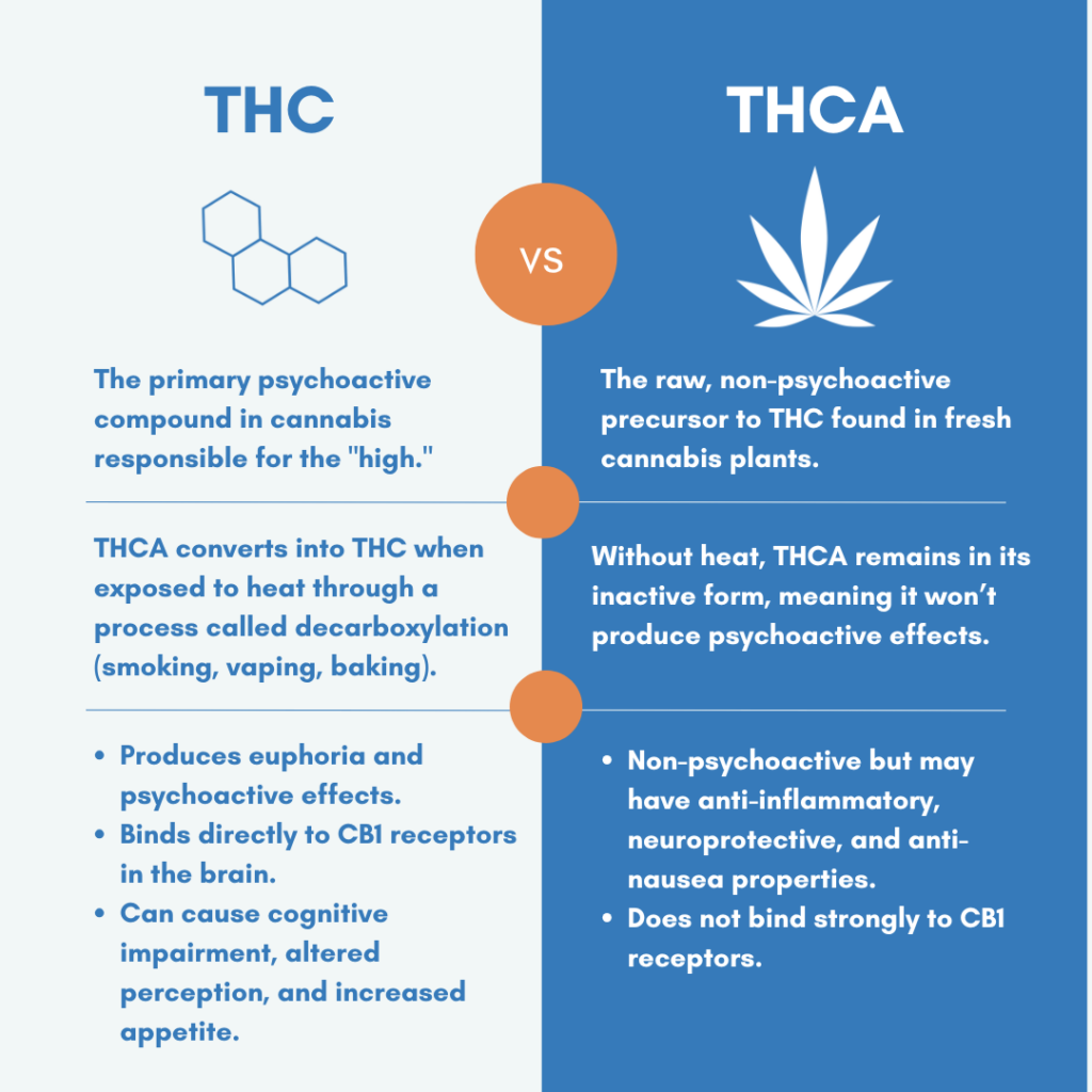 THCA vs. THC: What is the Difference?